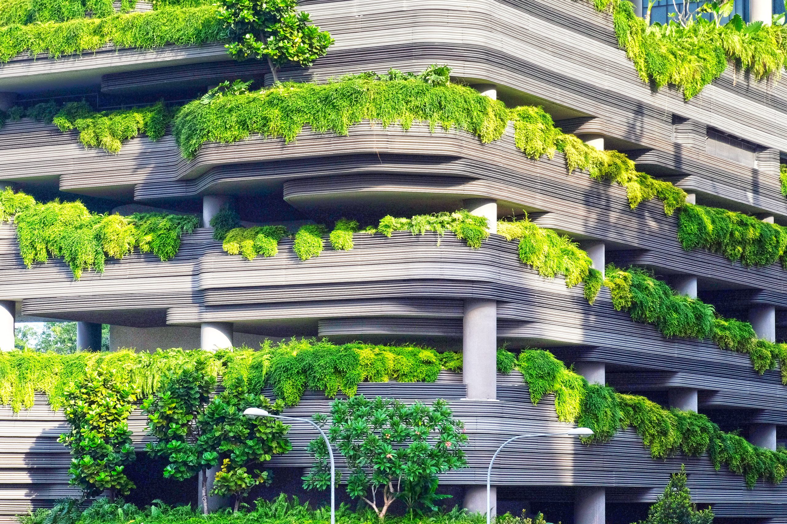 Decarbonising buildings: what if nature was cities’ best chief ...