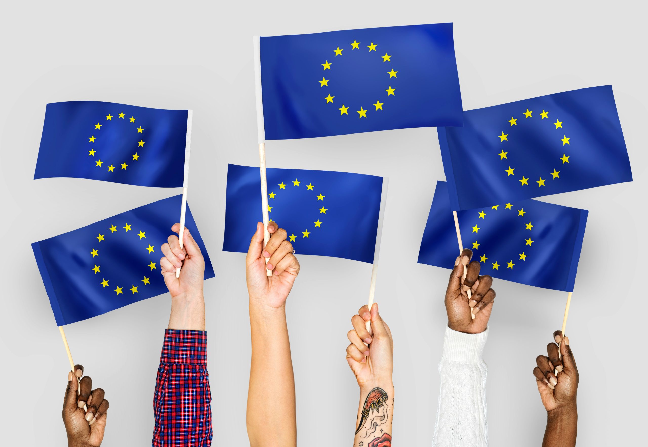 European Democracy Shield - Energy Cities